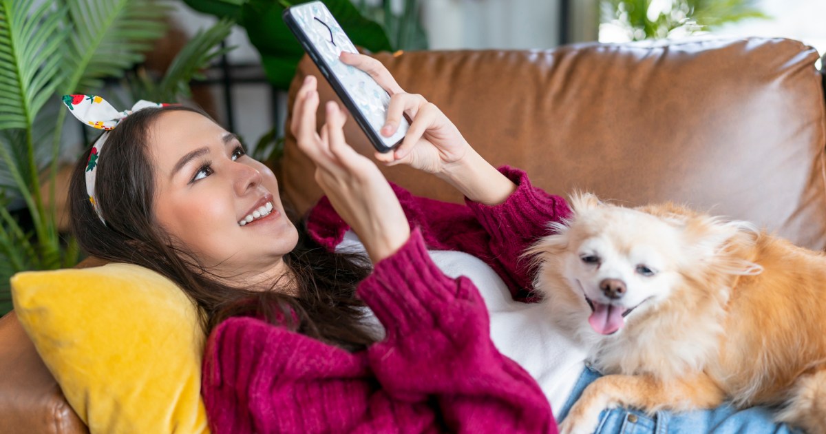 3 TikTok Dog Trends to Avoid (According to a Vet) - DogTime