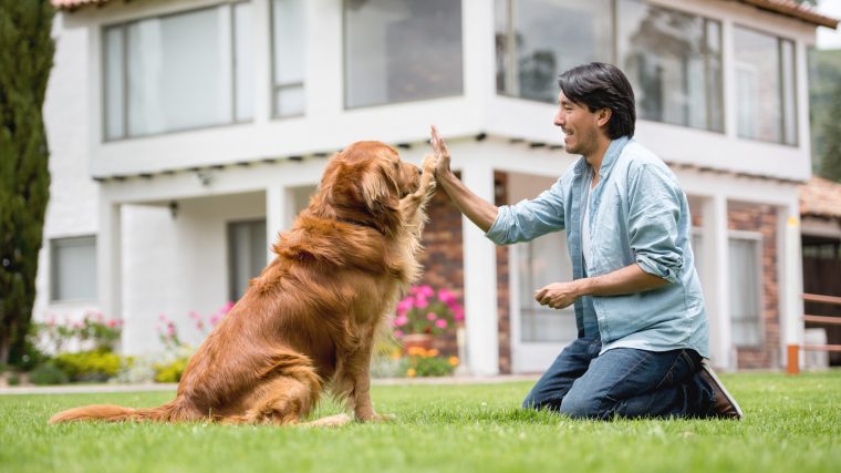 How a Dog Behaviorist Can Help Your Pup - DogTime