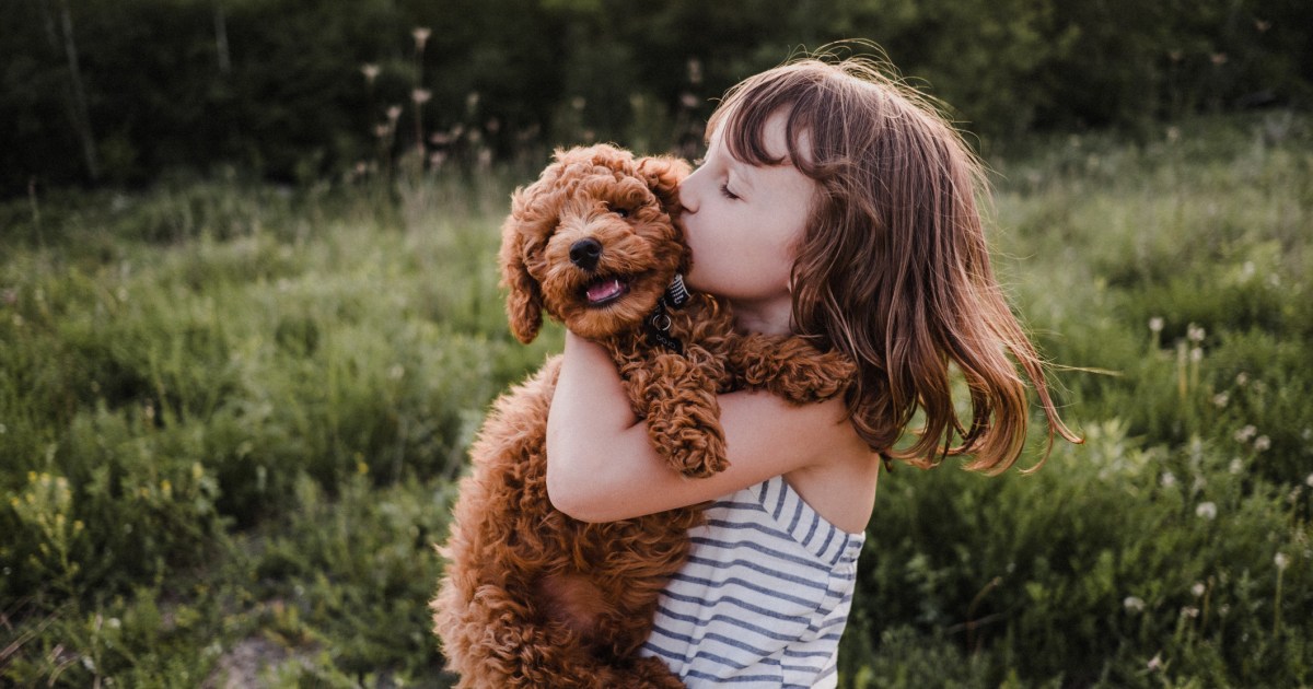 How to Teach Children to Be Gentle With Dogs
