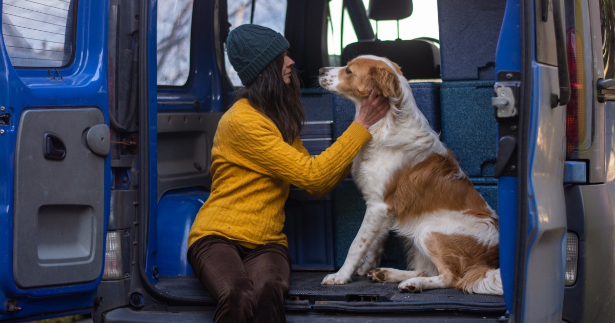 How to Become an Animal Rescue Transporter