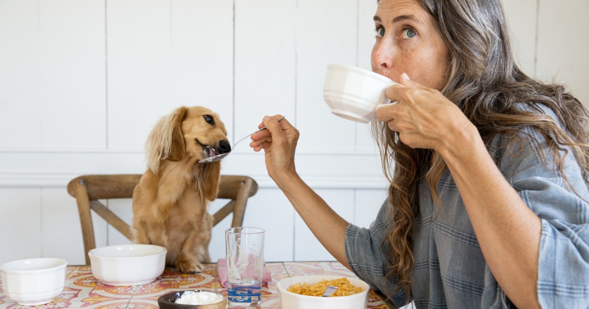 Most Common Mistakes Dog Parents Make