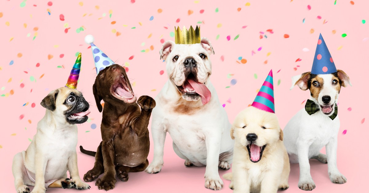 How to Throw the Best Dog Parties