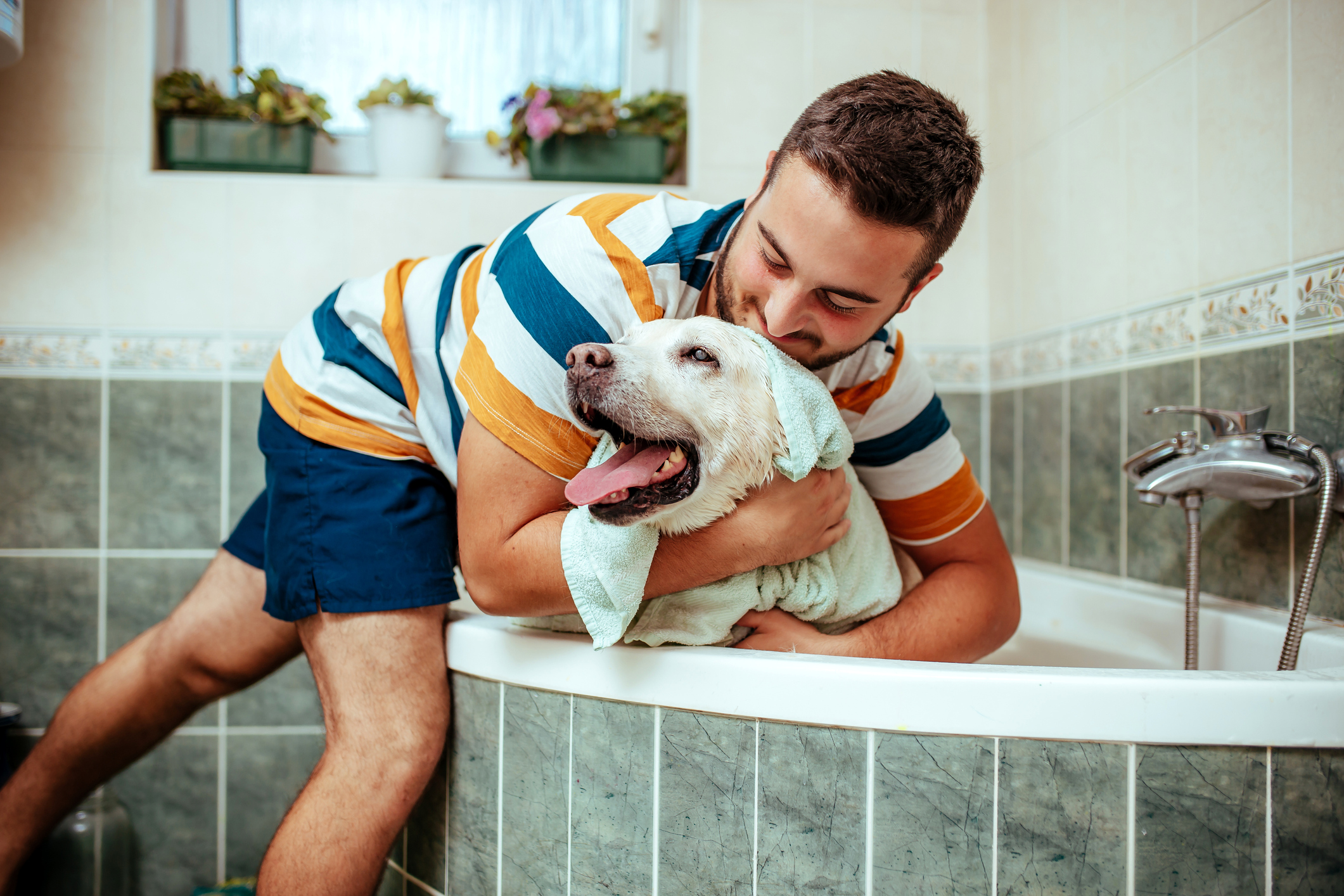 Dogs 101: Everything You Should Know About Bathing Your Dog