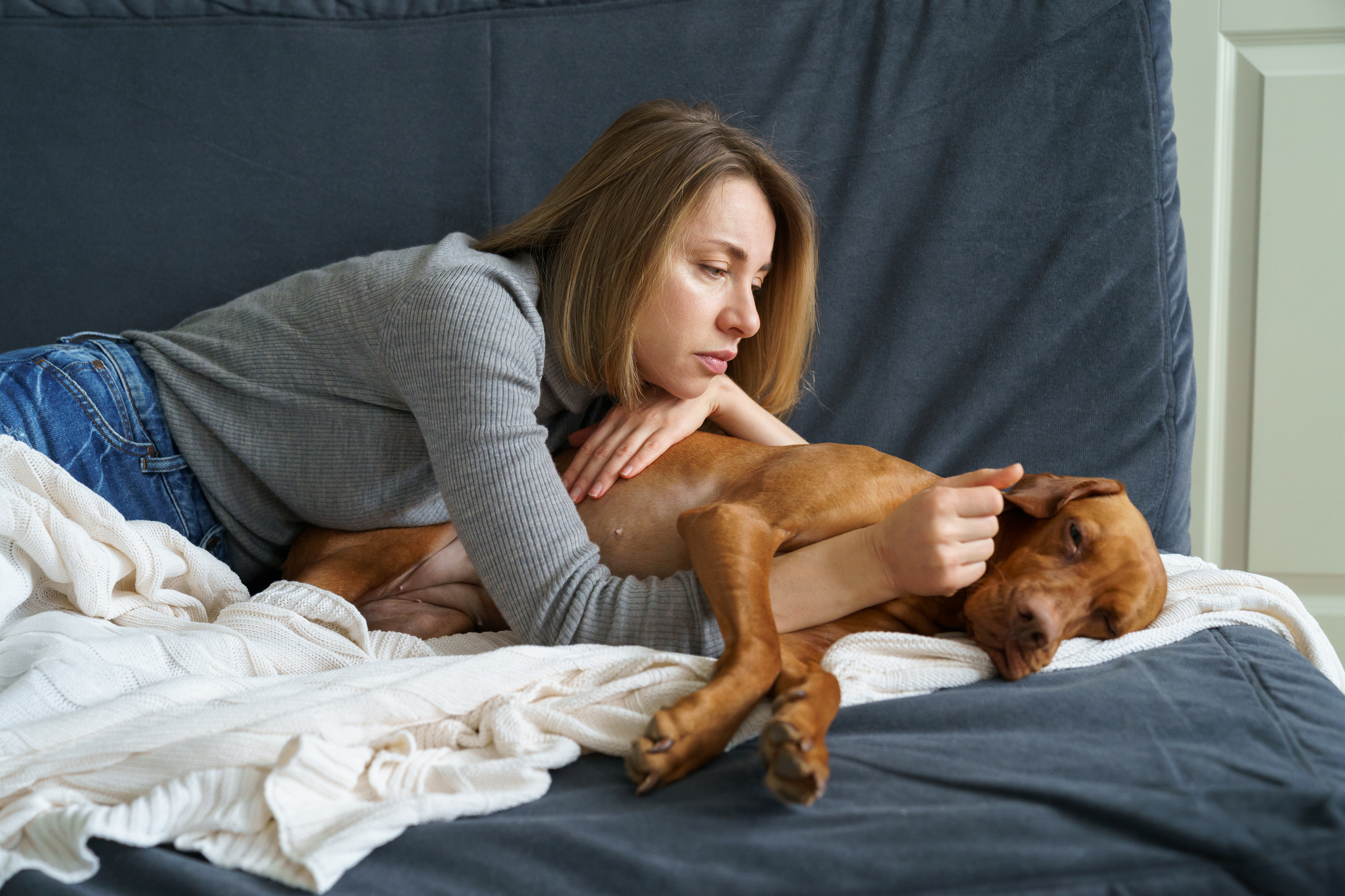 Trazodone for Dogs: Uses, Dosage, & Side Effects