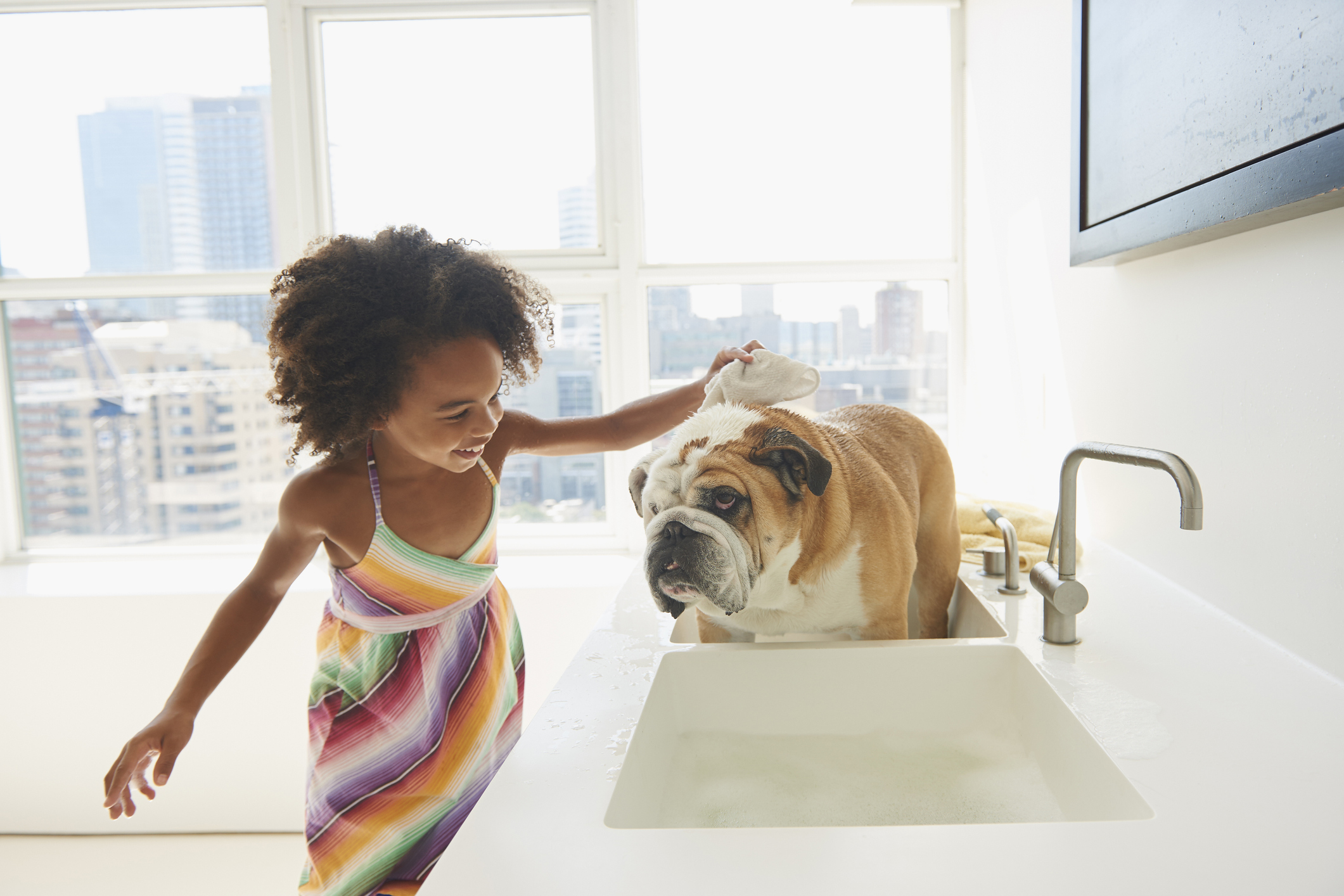 Dogs 101: Everything You Should Know About Bathing Your Dog
