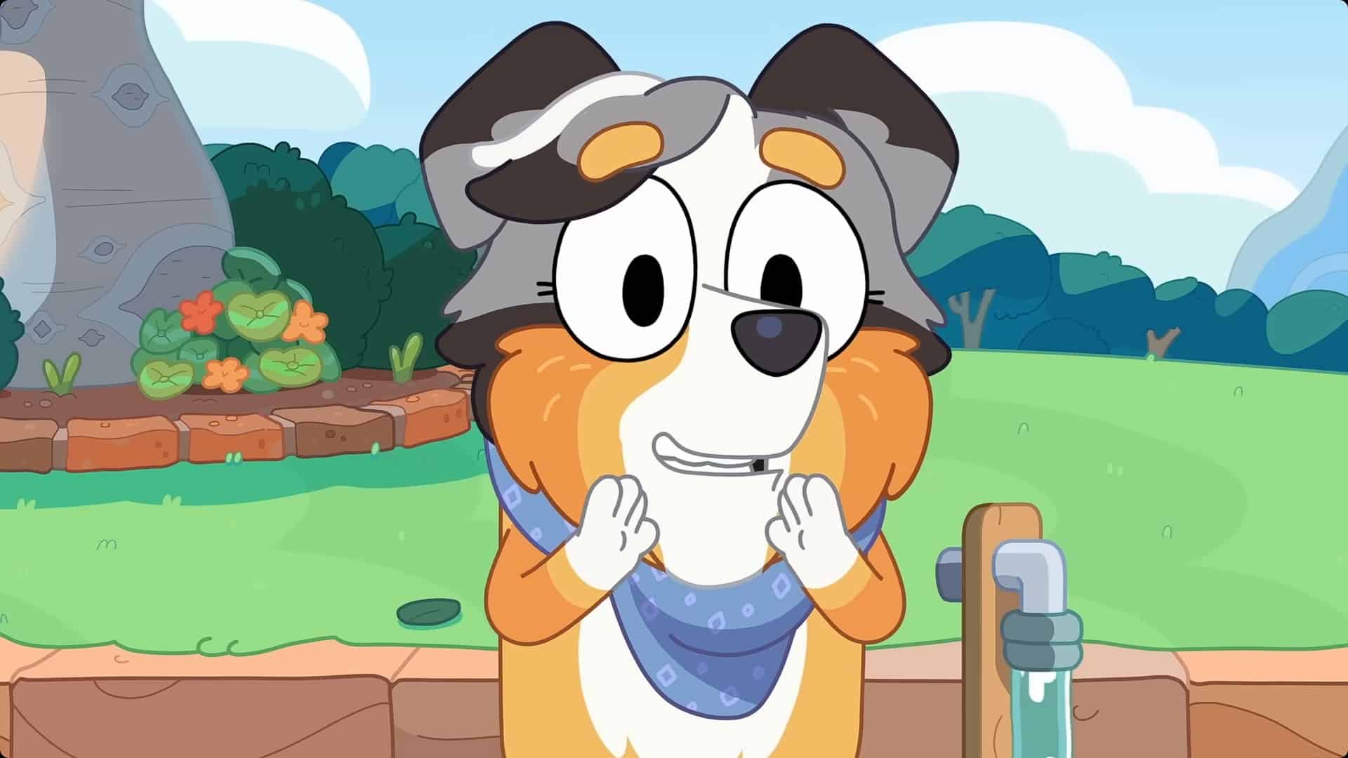 What Are the Dog Breeds of the Bluey Characters?