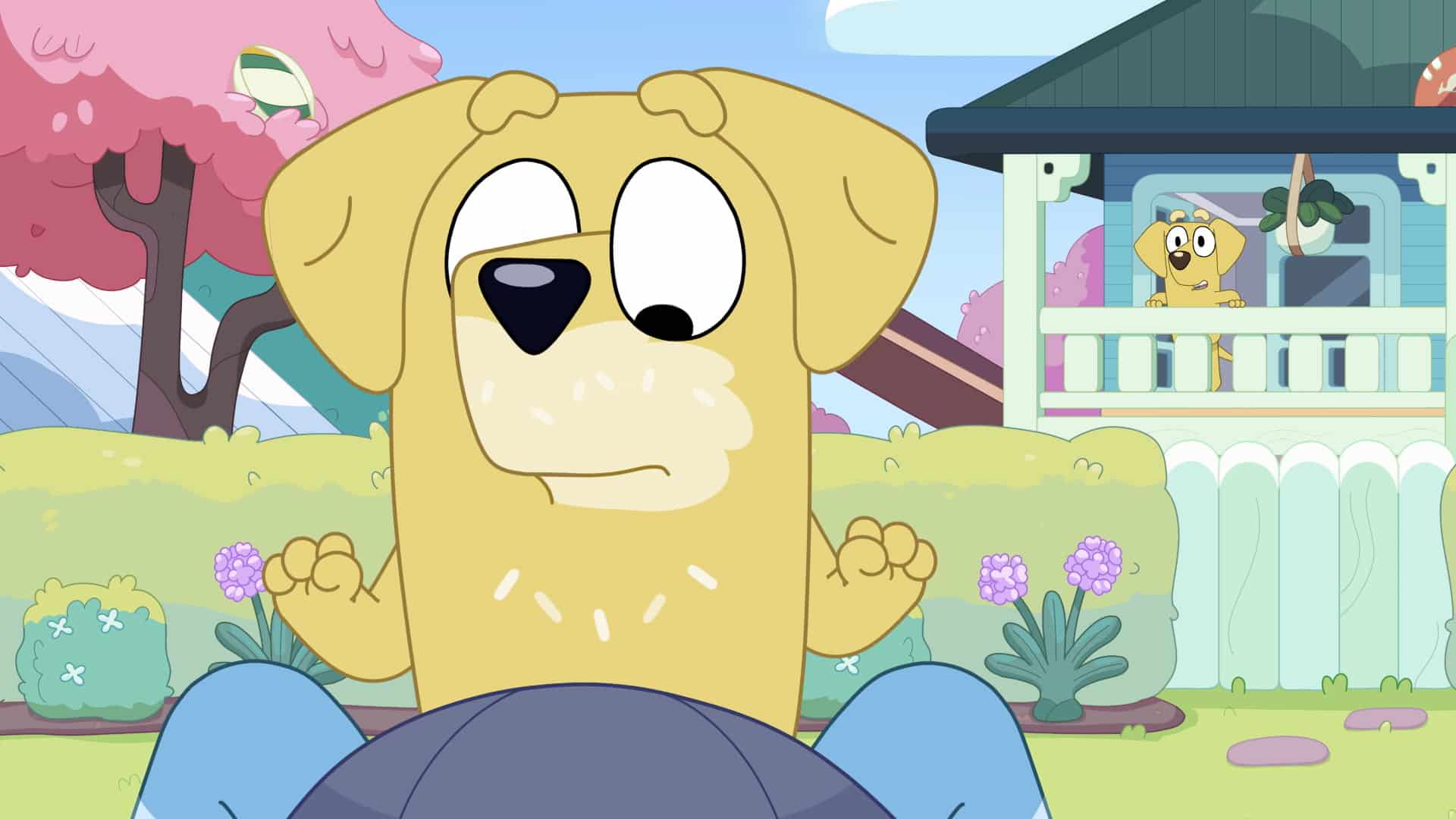 What Are the Dog Breeds of the Bluey Characters?