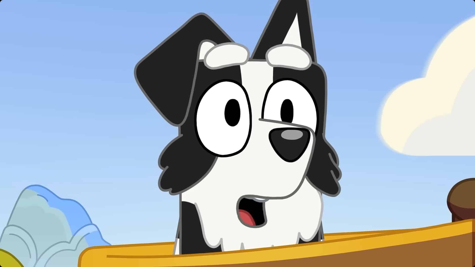 What Are the Dog Breeds of the Bluey Characters?
