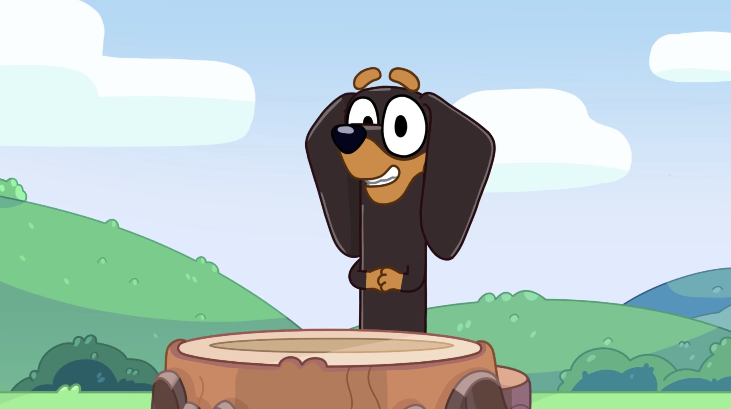 What Are the Dog Breeds of the Bluey Characters?