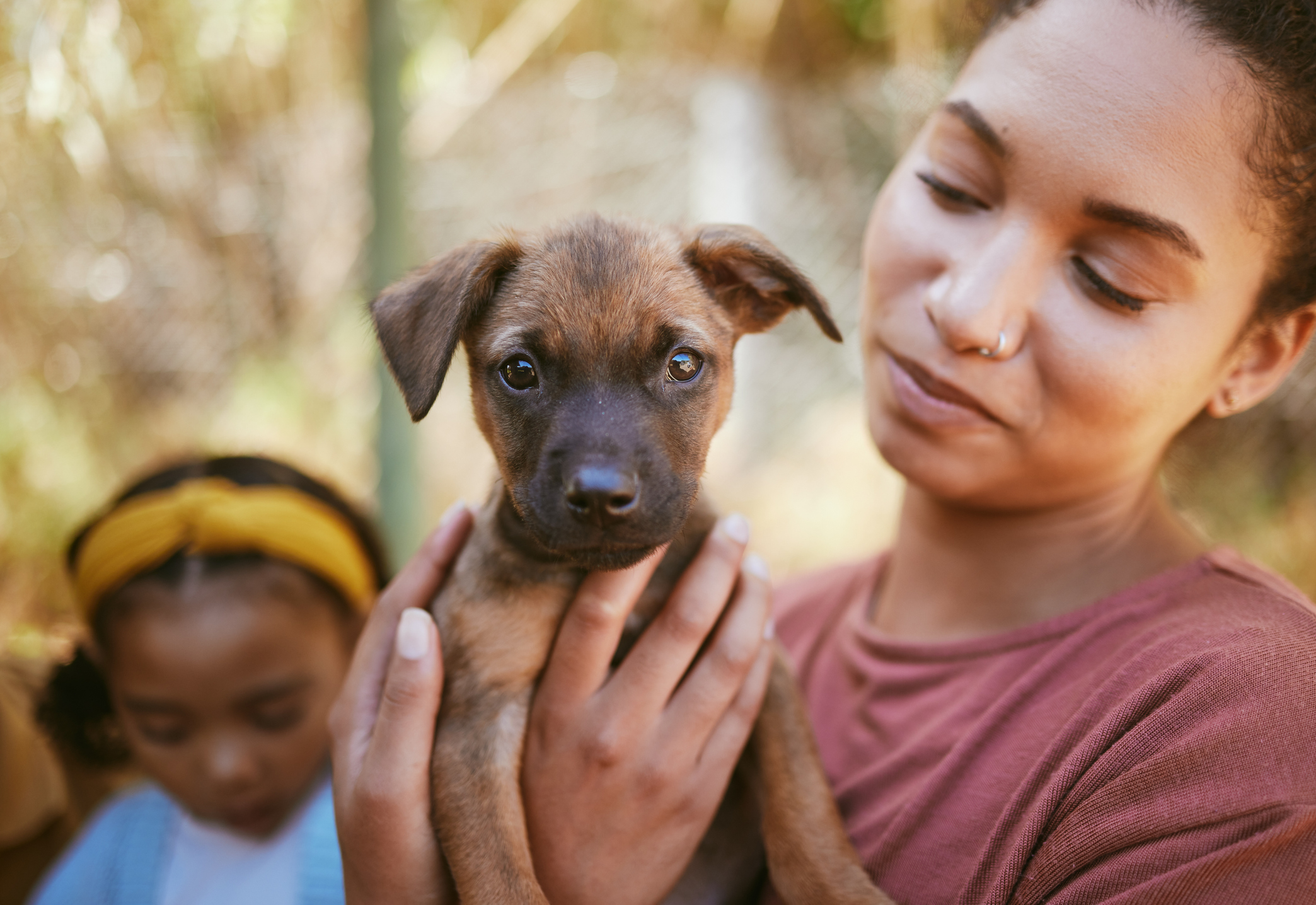 Adoption of a Pet Dog or Puppy: What You Need To Know