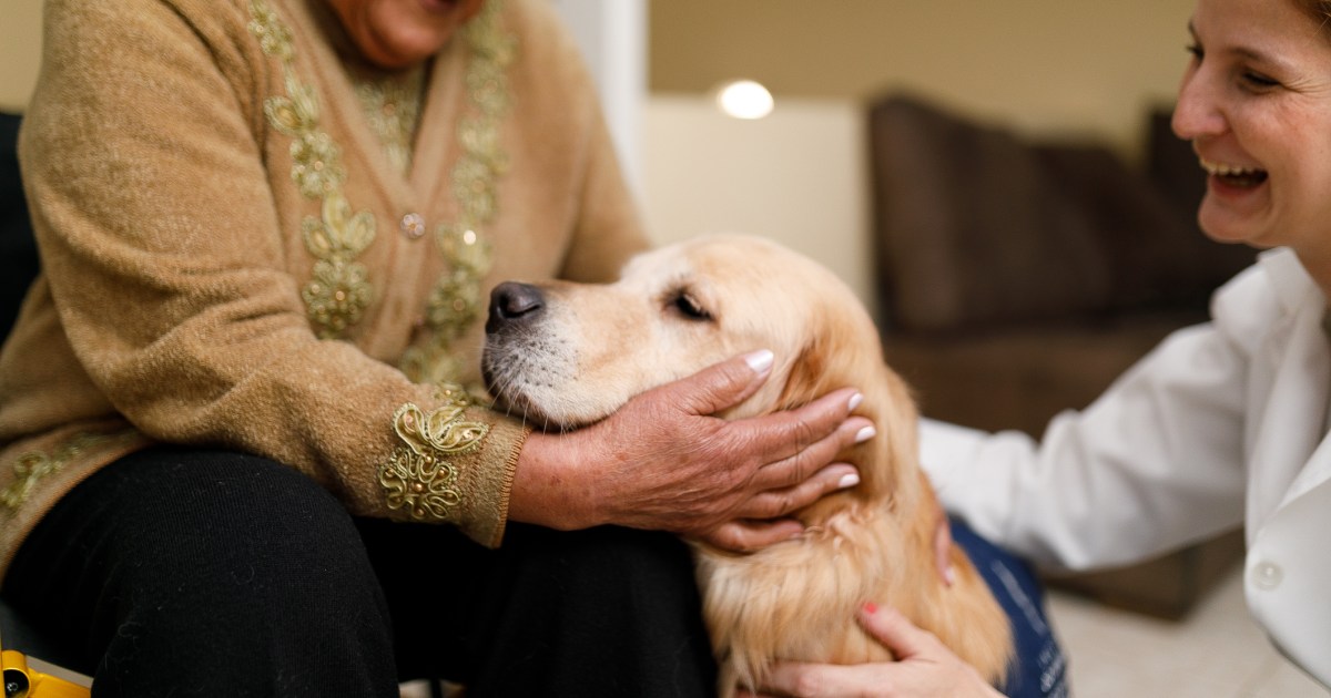 Paws of Comfort: Dempsey Dogs Offer Support to Cancer Patients