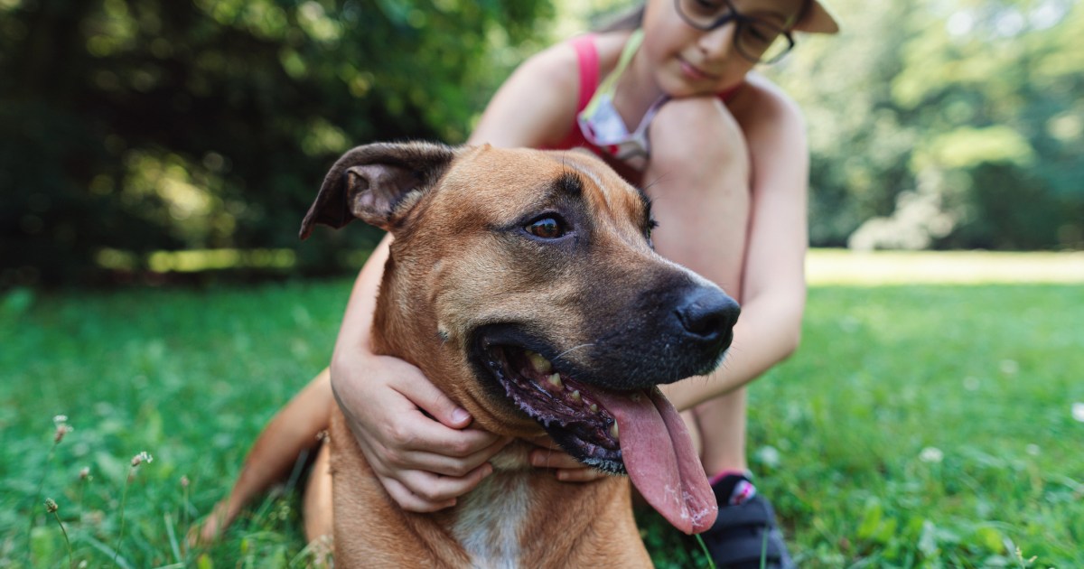 10-Year-Old Wisconsin Girl Opens 1st Glenwood City Dog Park