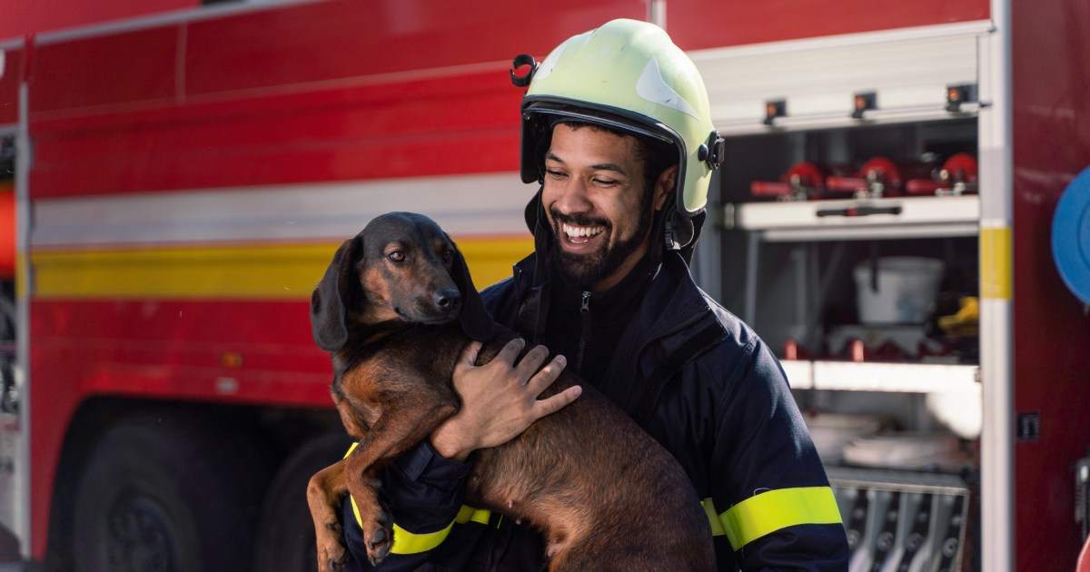 Firefighters Rescue Dog Trapped in Mineshaft
