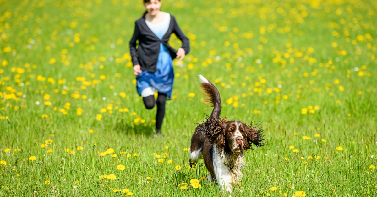 Australian Novel 'Runt' Gets Movie Adaptation