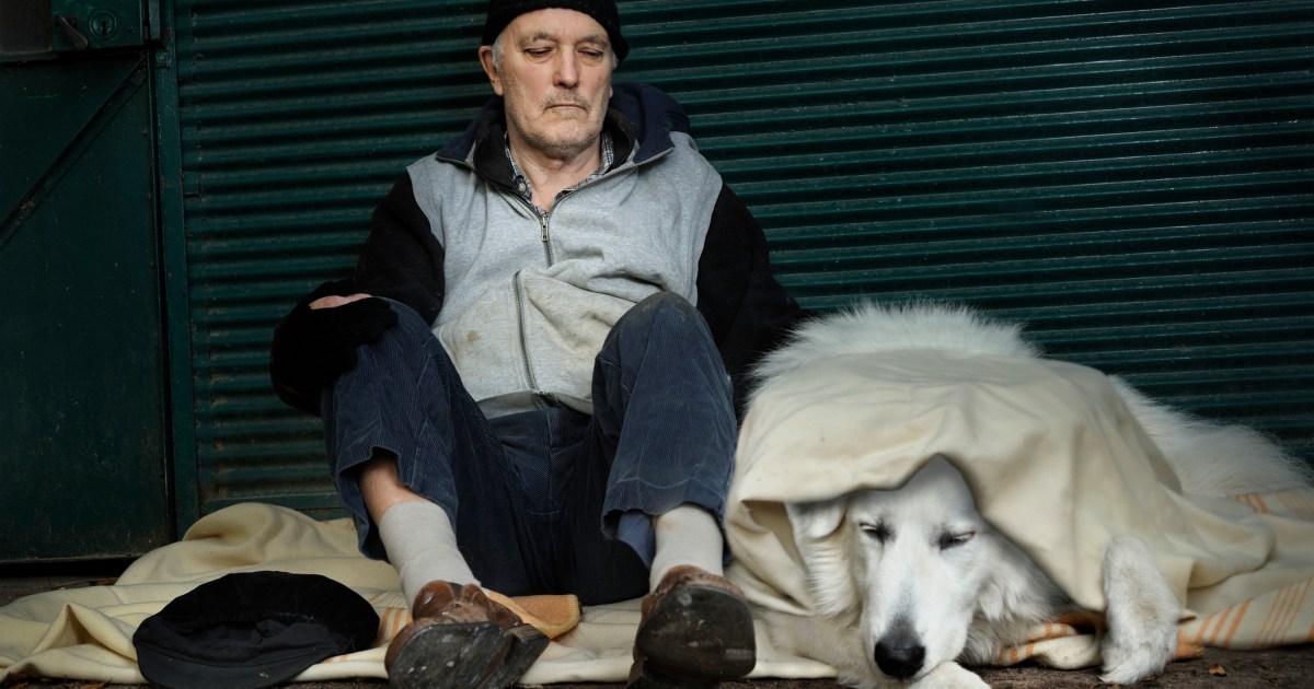 New Pet Food Pantry Will Feed LA's Homeless Animals