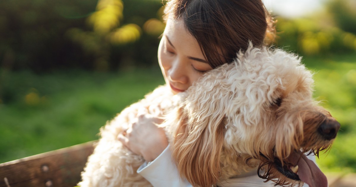 Emotional Support Animals: A Complete Guide