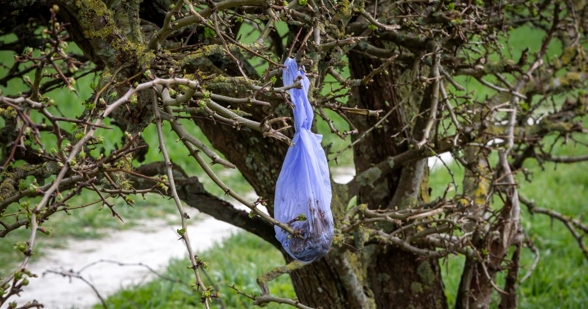 Britain Dog Owners Dump Dog Feces on Trees