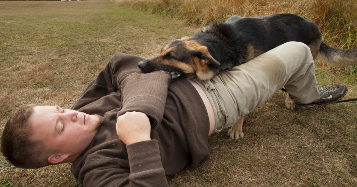Current Rise in Dog Bites Linked to COVID-19 Pandemic
