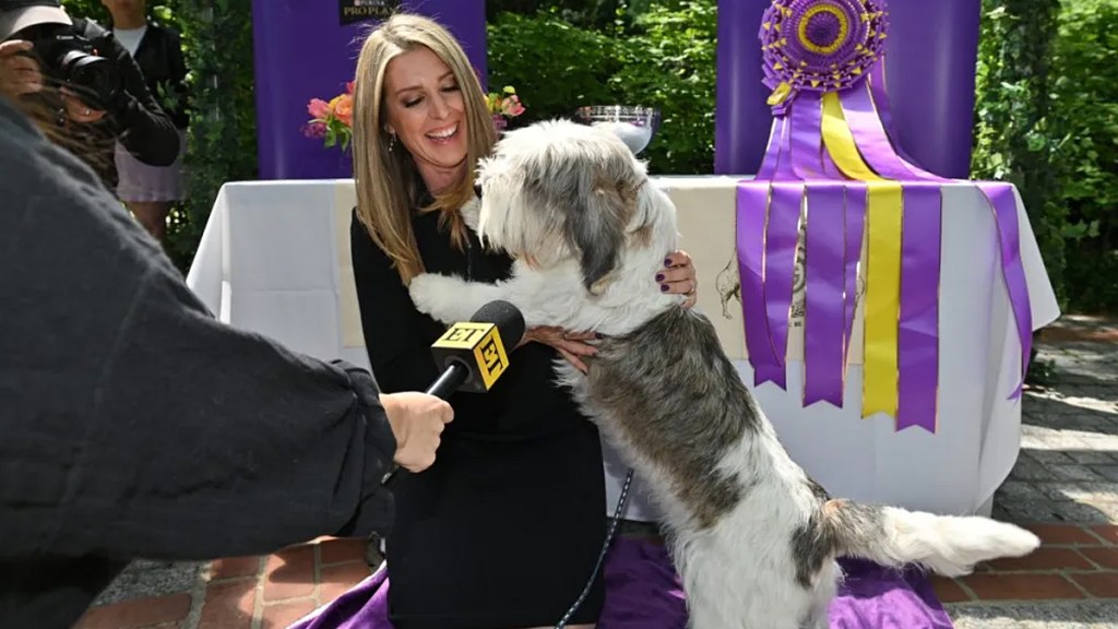 Westminster Dog Show 2024 Dates Judges How To Watch Buy Tickets Westminster Dog Show 2024 Dates Judges How To Watch Buy Tickets