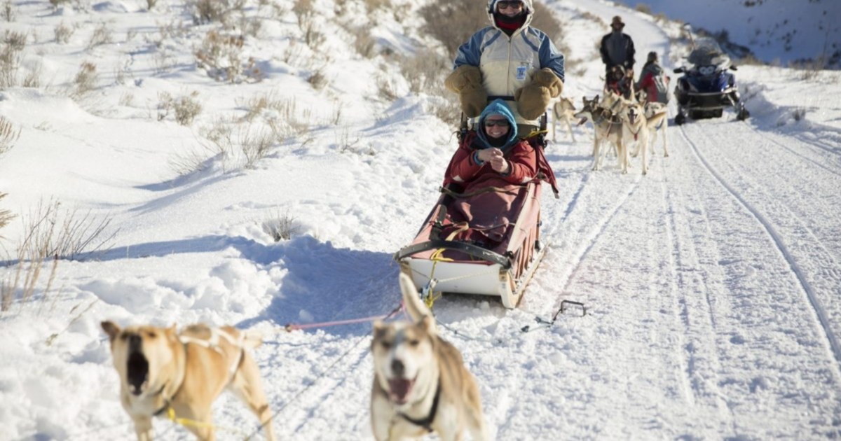 Dog Sled Race Returns to Camp Hale After 23 Years