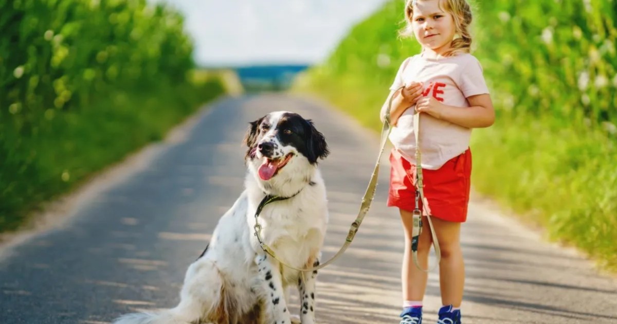 Study Shows Children With Dogs Exercise More