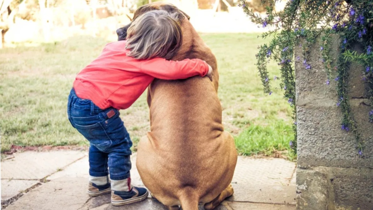 Displaced Gaza Teen Finds Comfort in 3 Dogs During Wartime