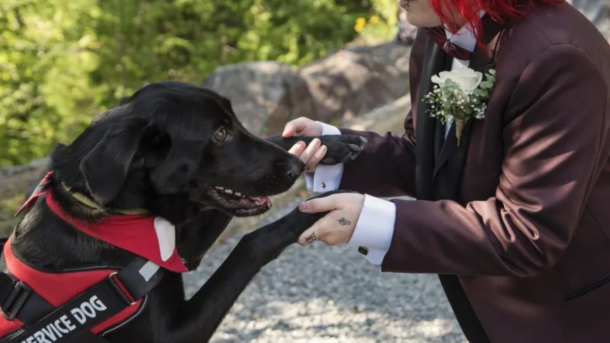 How a Service Dog Changed a Woman's Life