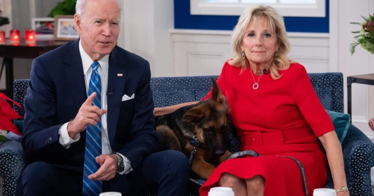 Commander, President Joe Biden’s Dog, Bit Secret Service Personnel Two ...