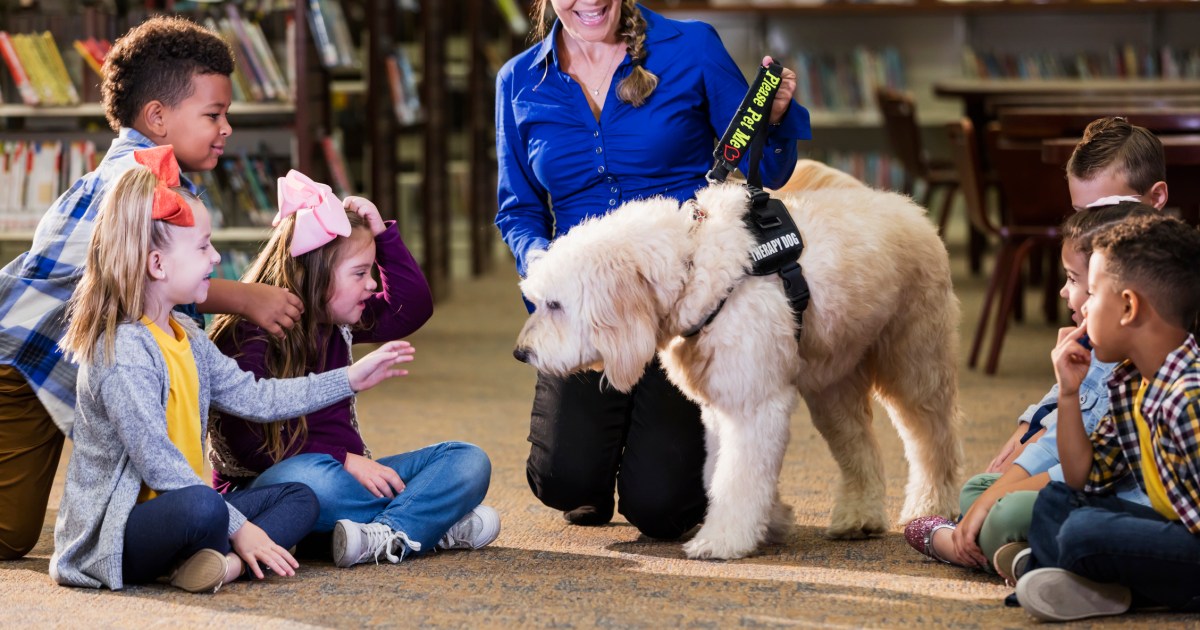 Service Dog Initiative Approved for School Safety Program in Michigan