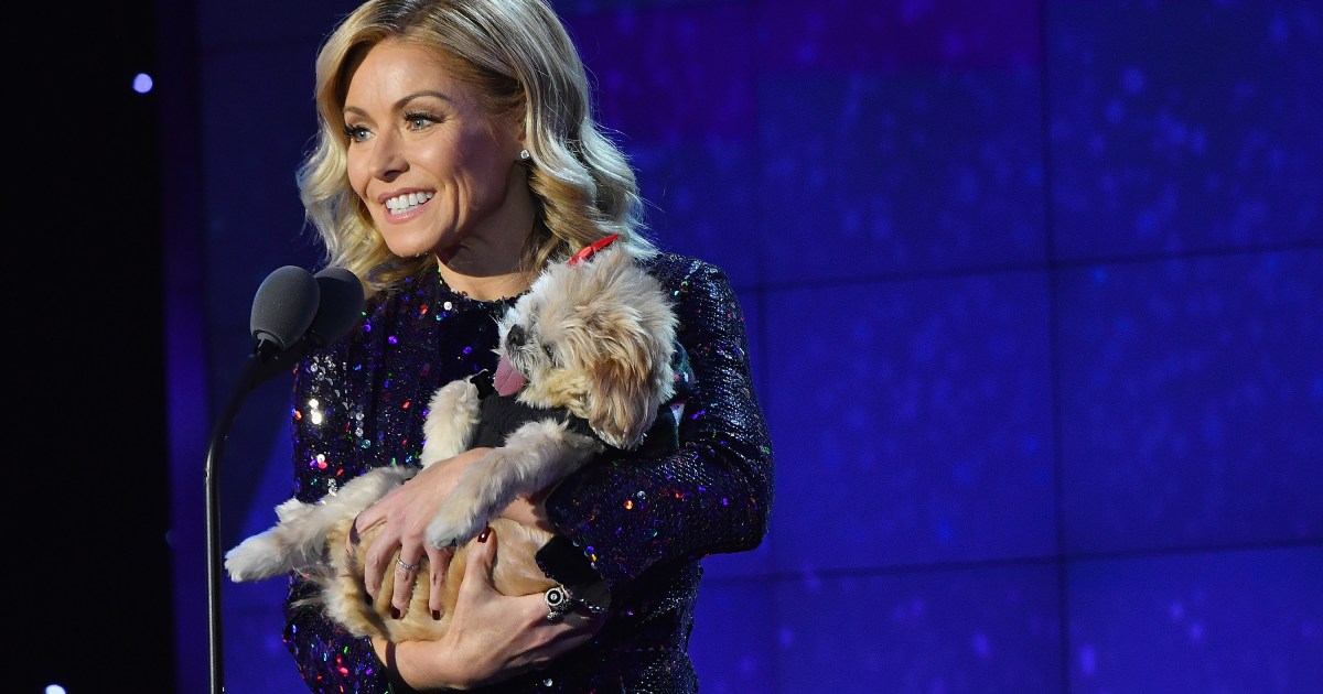 Actress Kelly Ripa Expresses Concern for Pet Dog 'Chewie'
