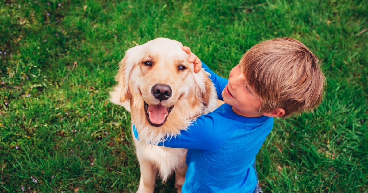 Meet the Friendliest Dog Breeds Who Love Just About Everyone