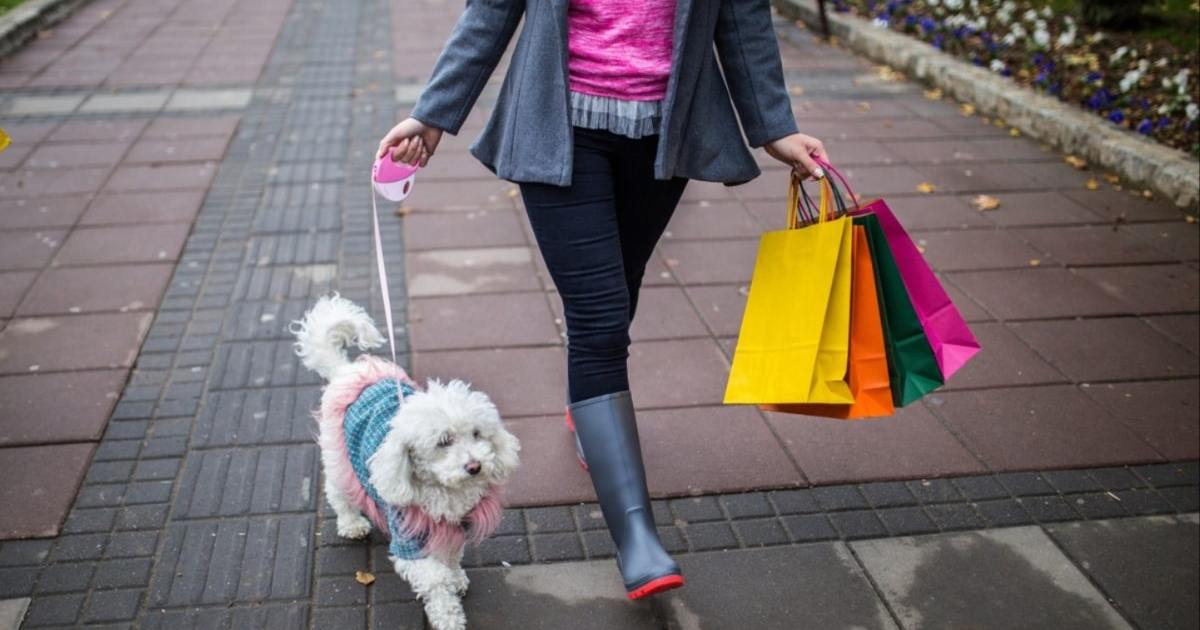Which Are the Most Expensive States To Buy a Dog?