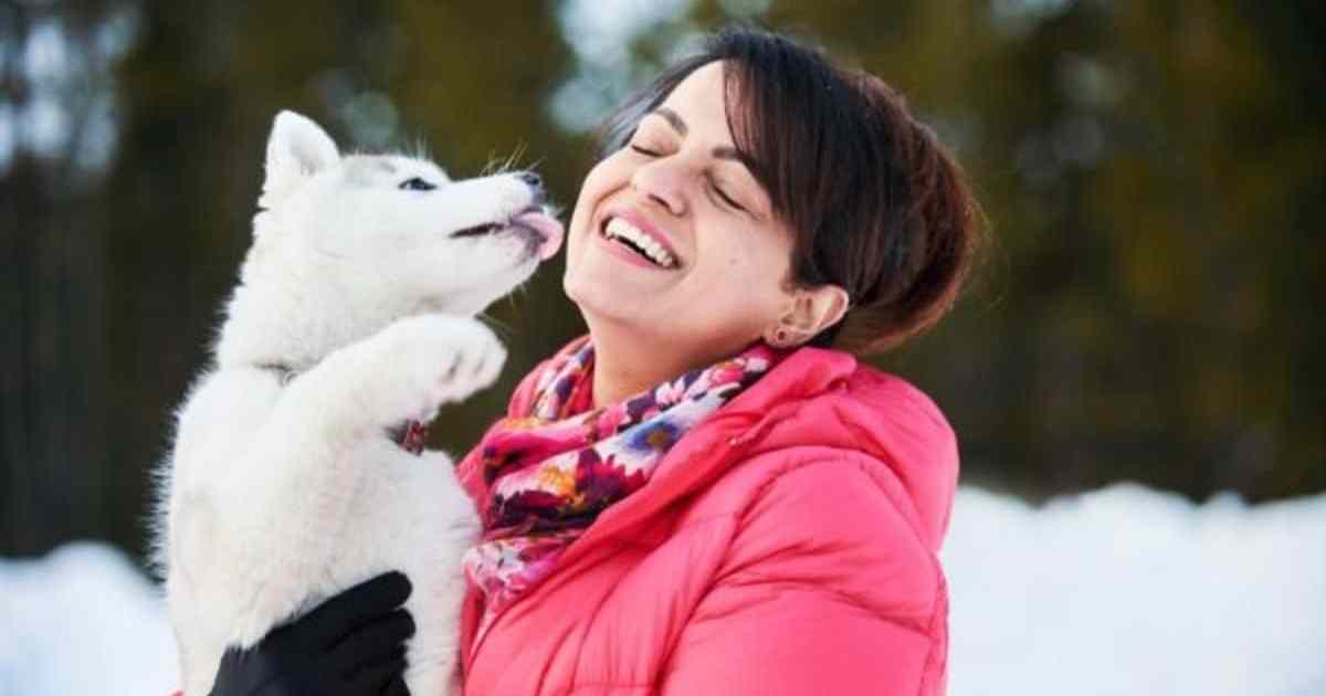 Missing Dog Reunited With Owner on Her Birthday in Ohio