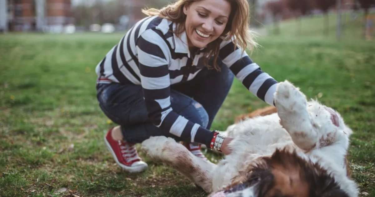 Which Are the Best Cities for Pet Owners in 2024?