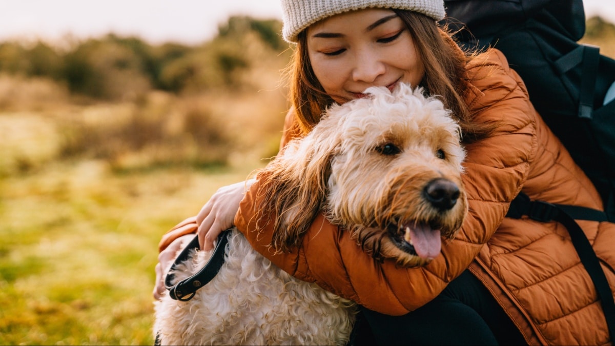 Hikers Can Now Borrow Dogs for Day Hikes From Alaska Shelter