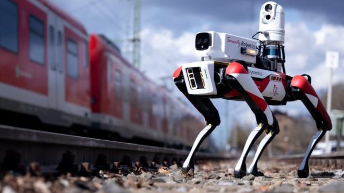 Robot Dog To Scare Away Wildlife From Runway in Alaska