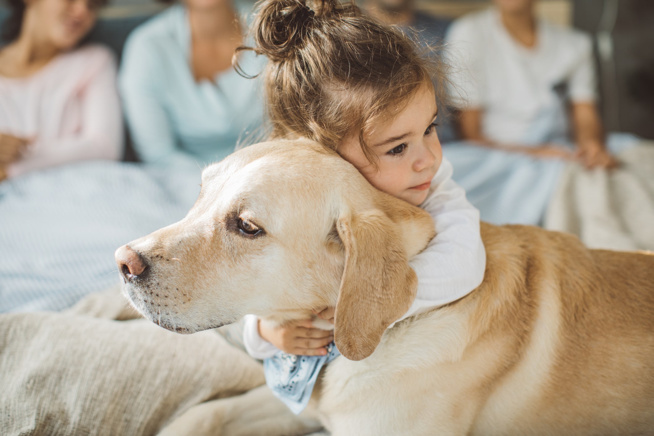 Best Dog Breeds for Kids and Families