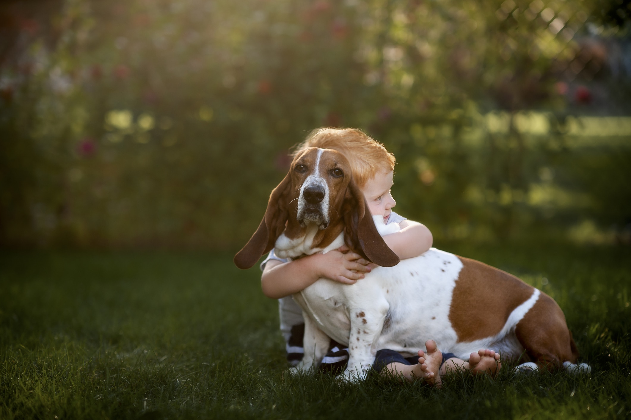Best Dog Breeds for Kids and Families