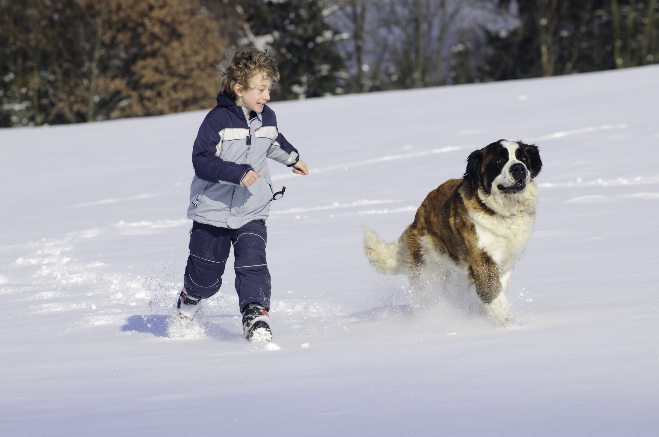 Best Dog Breeds for Kids and Families