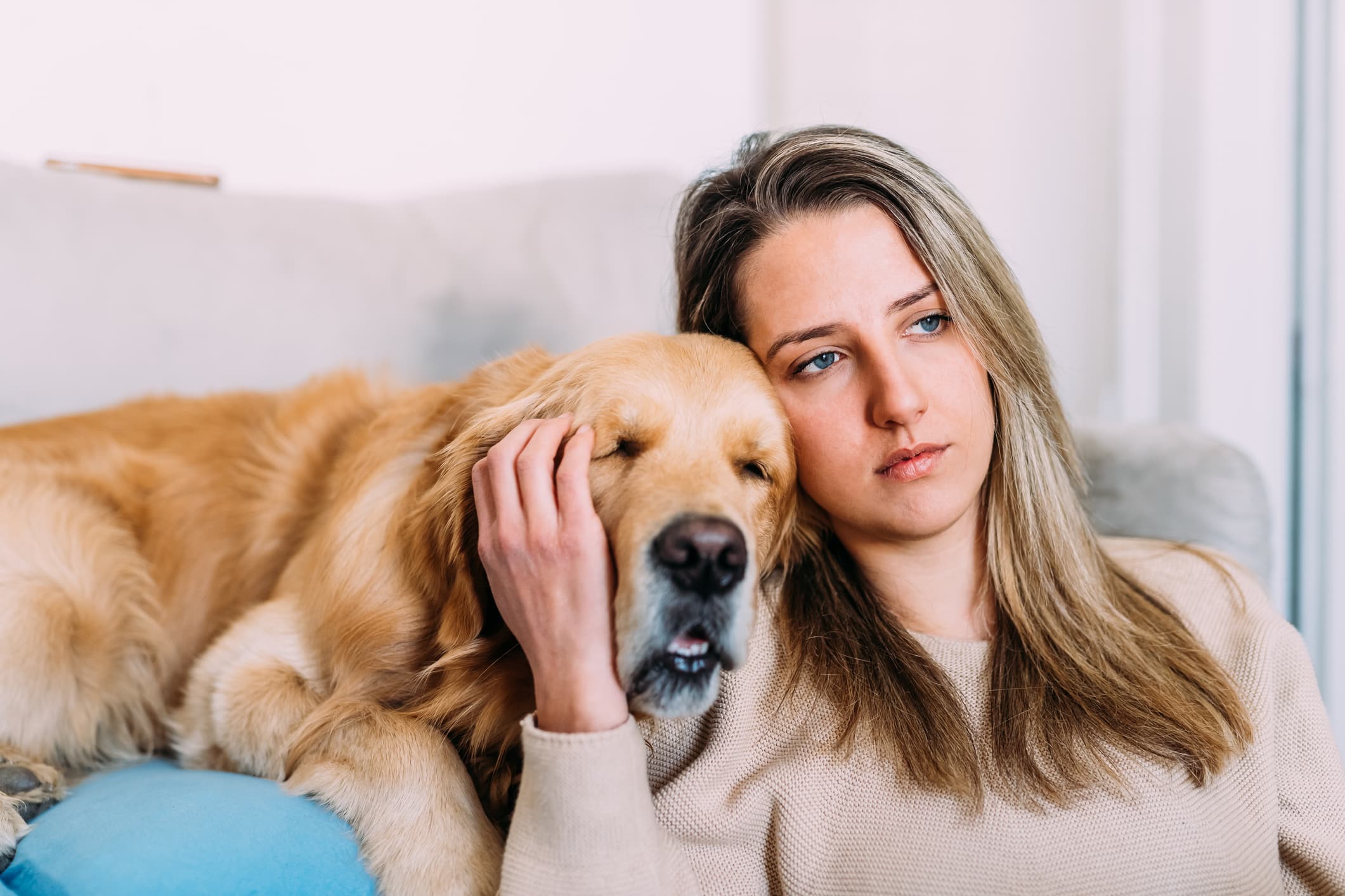 Sad Dog Movies That Make You Cry but Are Worth Watching