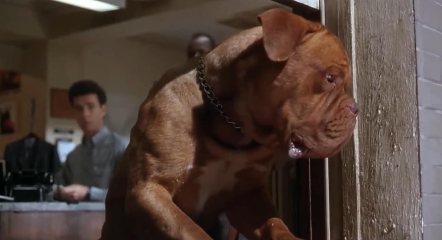Sad Dog Movies That Make You Cry but Are Worth Watching