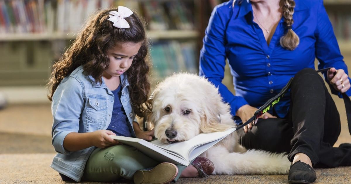 Schools Plan To Expand Therapy Dog Program in New Jersey