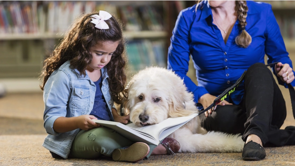 Schools Plan To Expand Therapy Dog Program in New Jersey