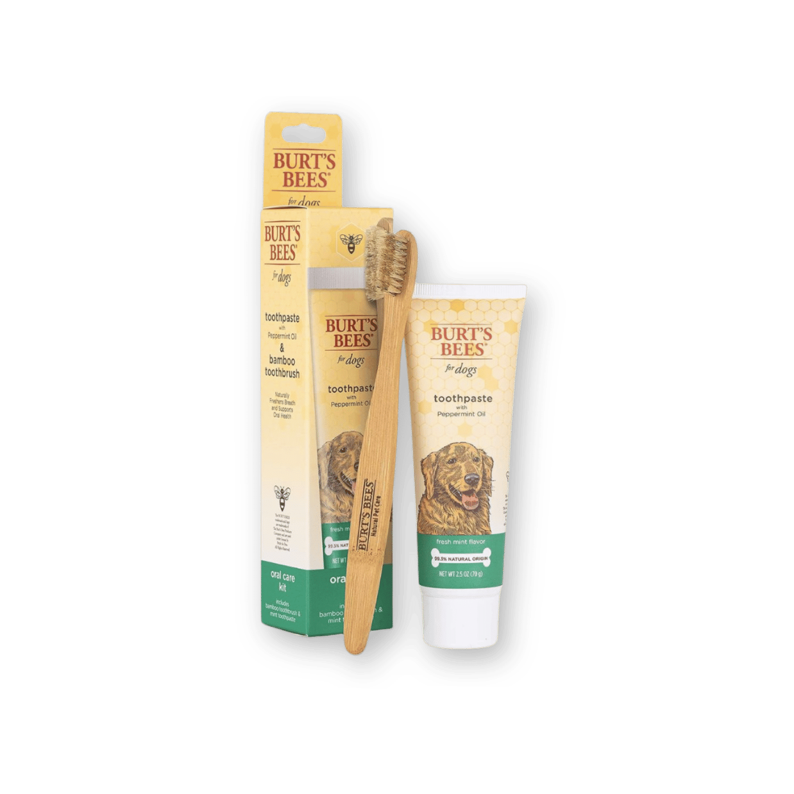 Best Dog Toothpastes of 2025 — Approved by Vets and Pets