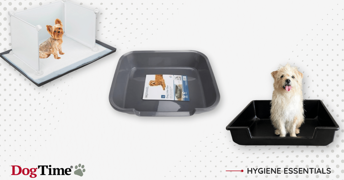 7 Best Dog Litter Boxes to Keep Your Home Mess-free in 2025