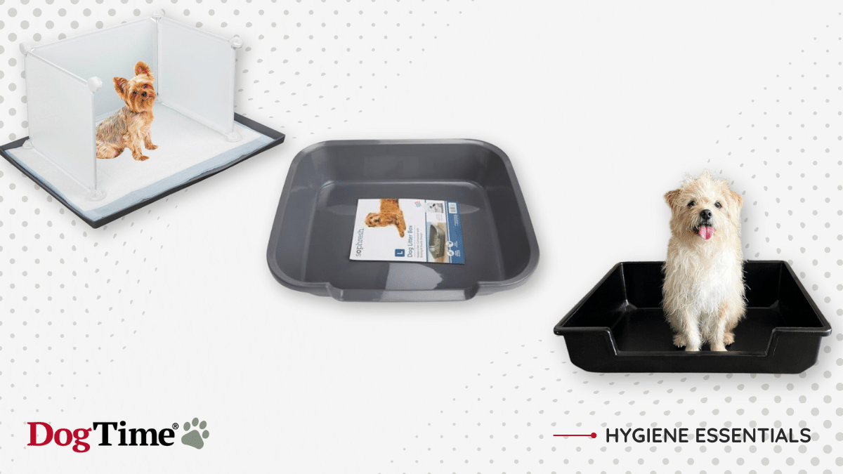 7 Best Dog Litter Boxes to Keep Your Home Mess-free in 2025