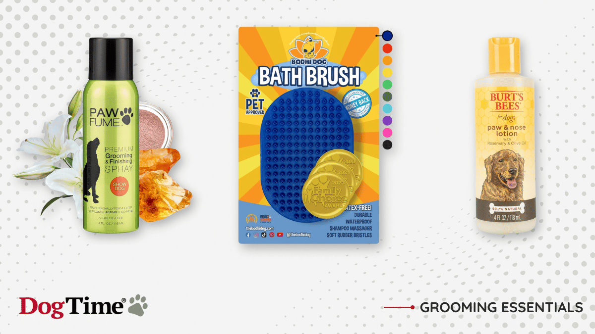 7 Best Dog Grooming Essentials That Every Pet Parent Needs - DogTime