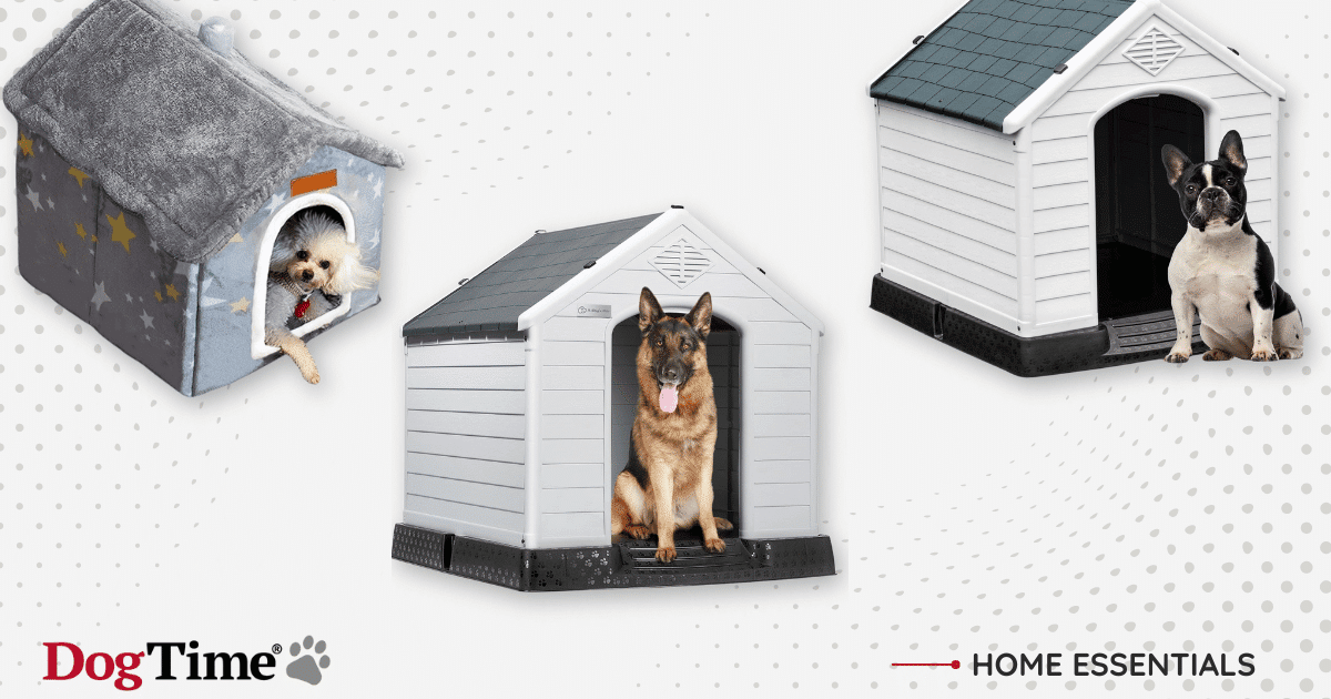 7 Best Dog Houses to Keep Your Pet Comfy in 2025 - DogTime