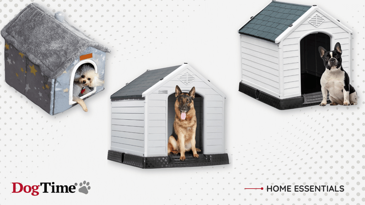 7 Best Dog Houses to Keep Your Pet Comfy in 2025 - DogTime