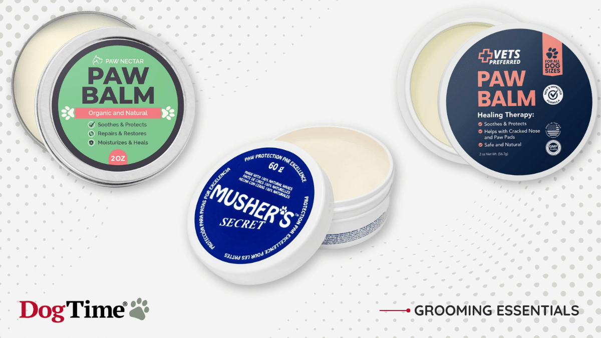7 Best Dog Paw Balms That Work Wonders in 2025 - DogTime